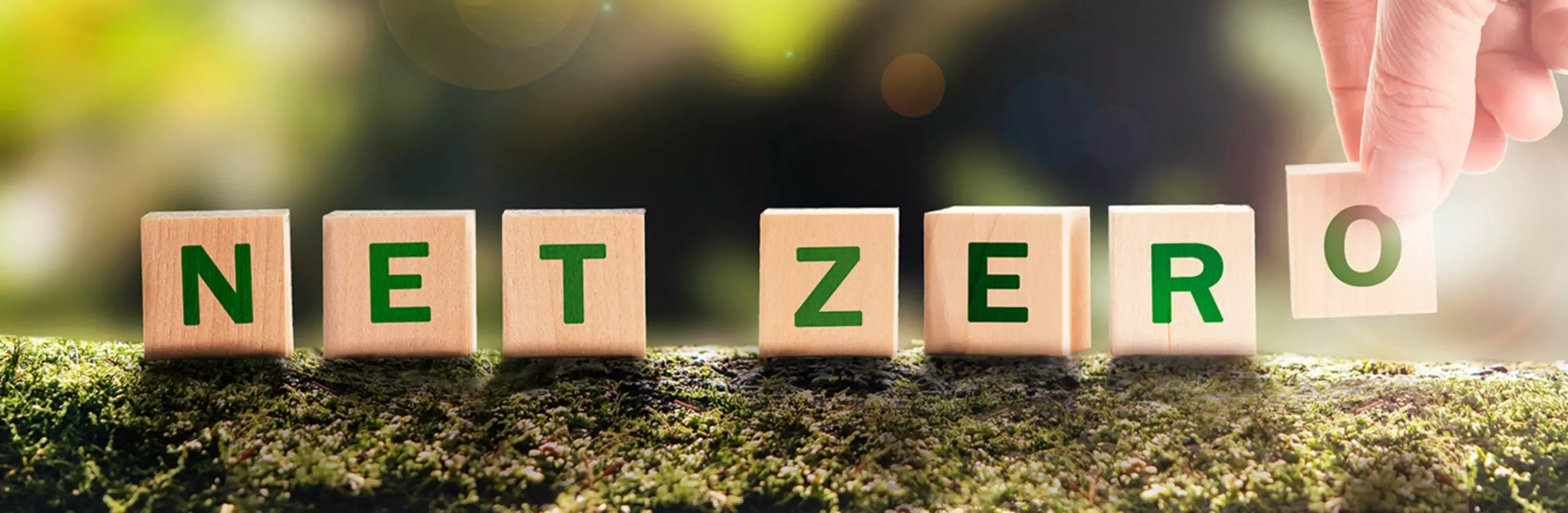 Mengenal Net Zero Emission dan Upaya Nestle Mencapainya